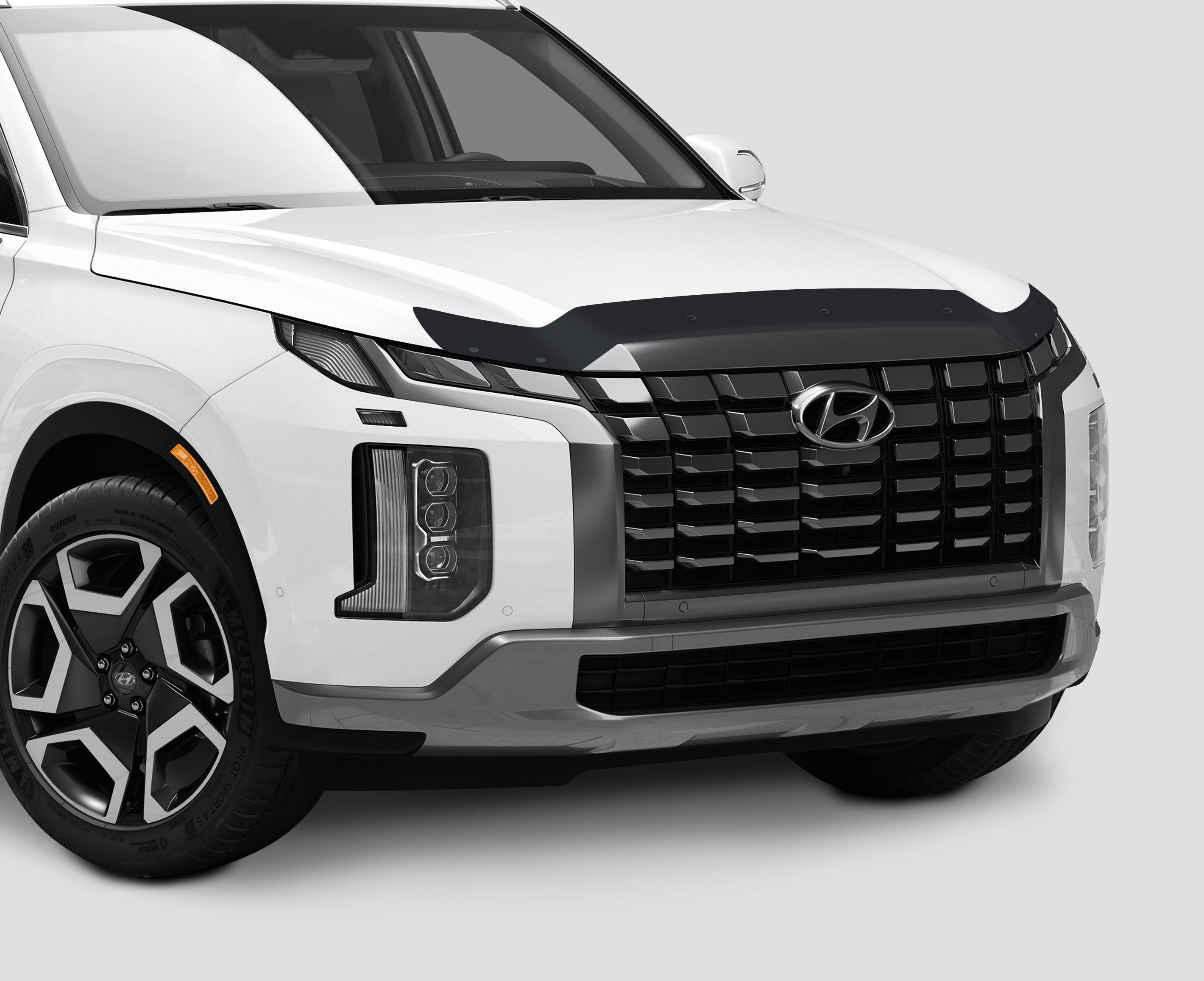 Hyundai 2022 Palisade Plastic Hood Protector For Ess | Pref | Lux | Ul ...